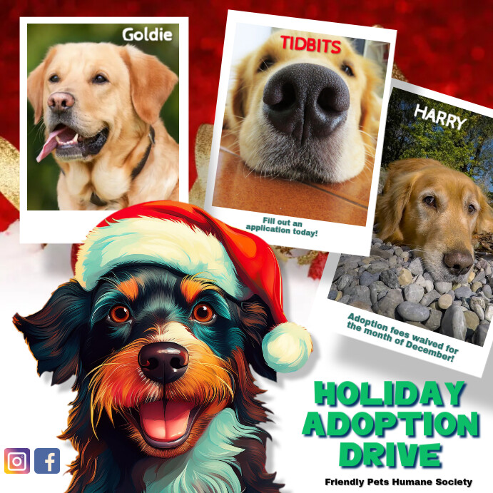 Copy of Joyful Holiday Pet Adoption Instagram Post Template Instagram ...