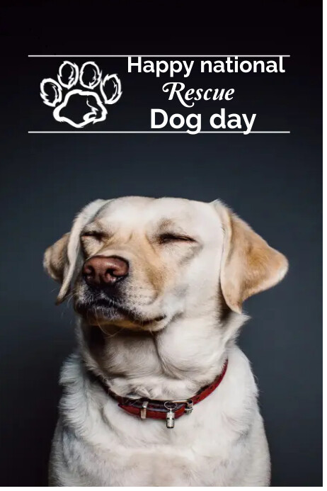 Joyful National Rescue Dog Poster Template | PosterMyWall