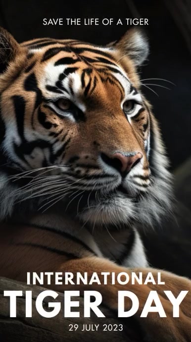 July 29 - International Tiger Day Template | PosterMyWall