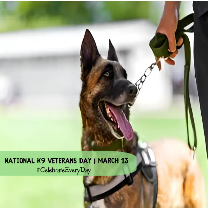 k9 veterans day 1 Template | PosterMyWall