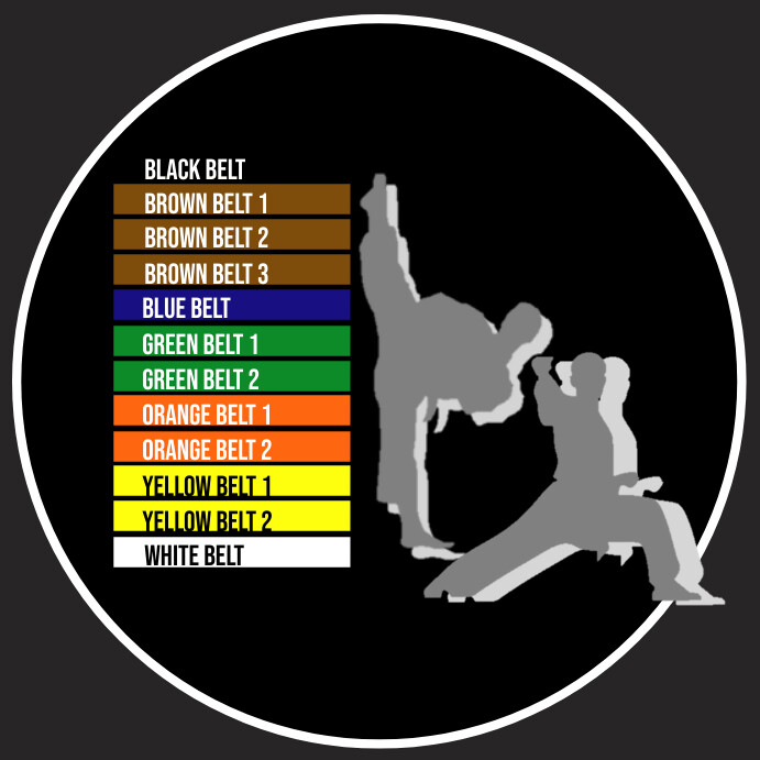 Karate Black Belt Instagram Post Template | PosterMyWall