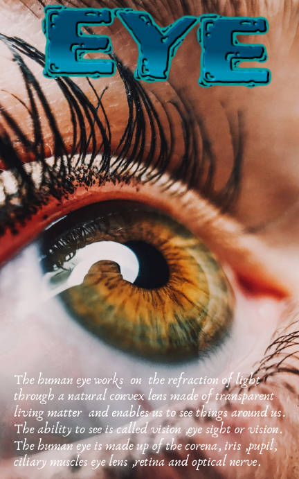 kindal cover Template | PosterMyWall