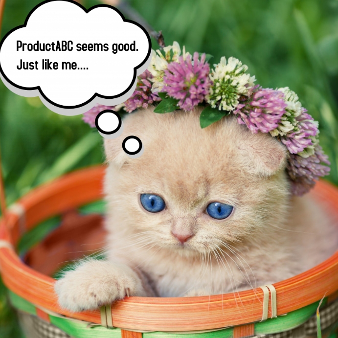 kitto says Template | PosterMyWall