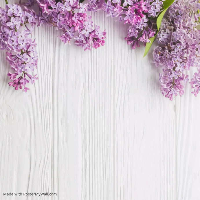 Copy of Lavender background design flyer | PosterMyWall
