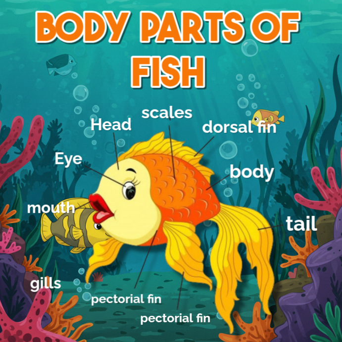 Learn Body Parts Of Fish Template | PosterMyWall