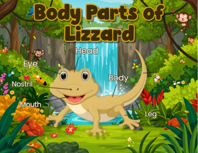 Learn with Lizard Body Parts Template | PosterMyWall