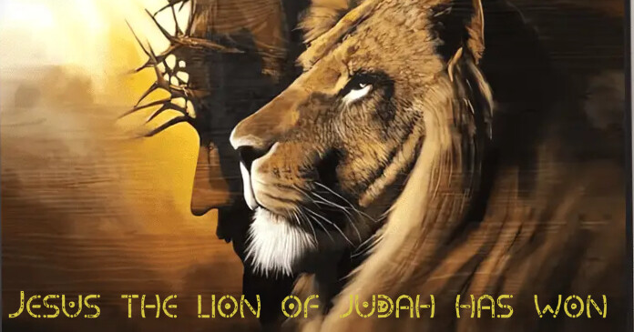 León De Judá Fondo De Pantalla