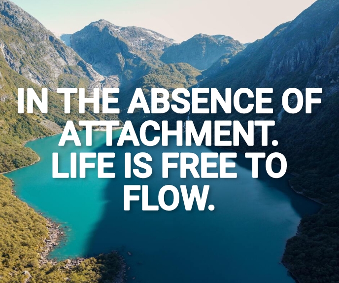 LIFE IS FREE QUOTE TEMPLATE | PosterMyWall