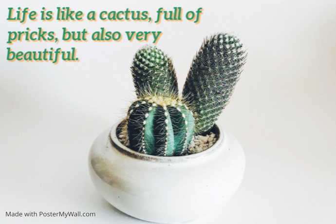 Copy of Life is like a cactus quote design | PosterMyWall