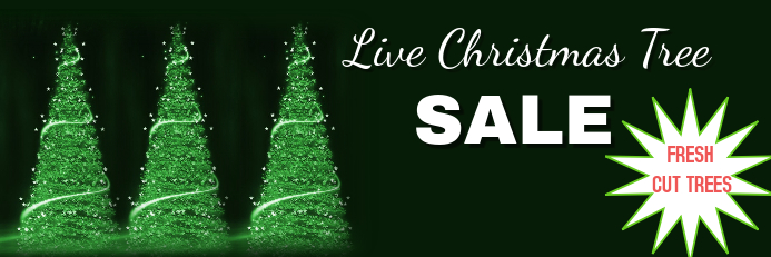 LIVE CHRISTMAS TREE SALE Template | PosterMyWall