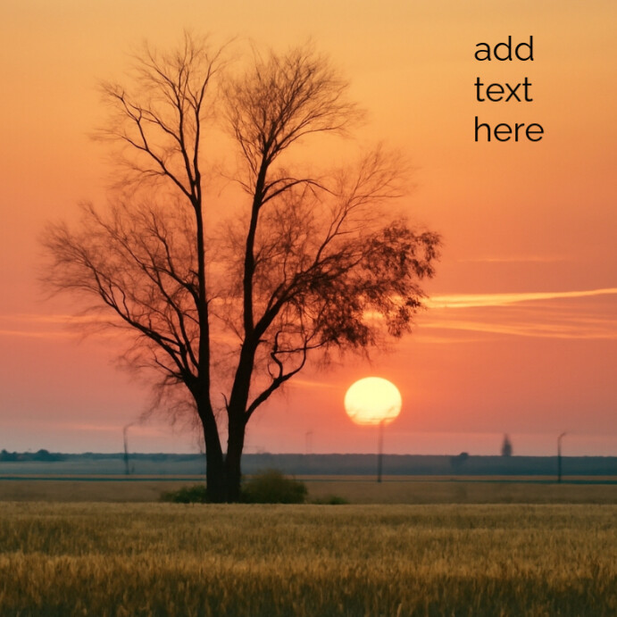 Lonely Tree at Sunset in Golden Field Template | PosterMyWall