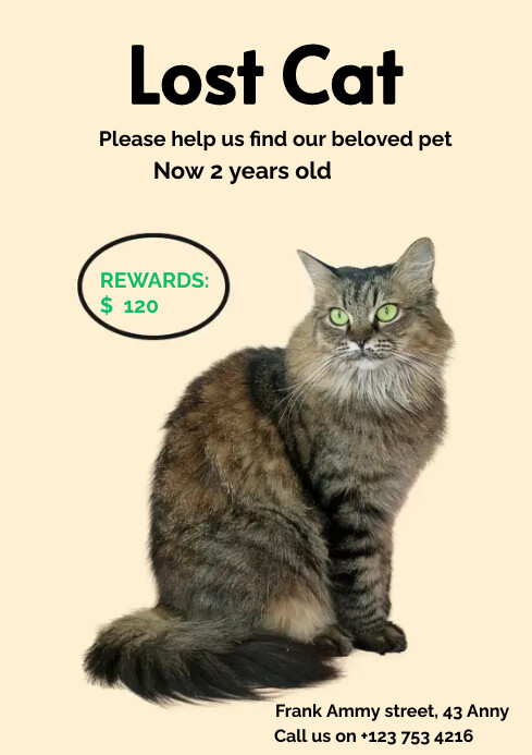 Copy of Lost cat flyers design template | PosterMyWall