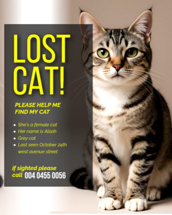 Copy of Lost cat missing runaway pet advertisement facebook poster ...
