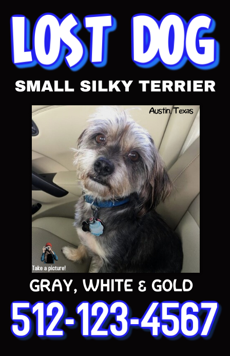 Lost Dog Poster - C Template | PosterMyWall