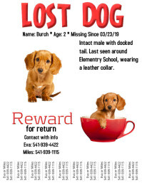 Lost dog Template | PosterMyWall