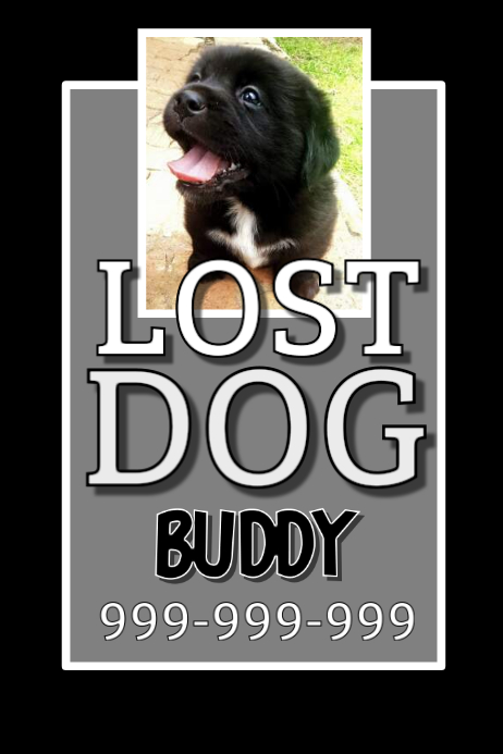 Lost Dog Poster Template | PosterMyWall