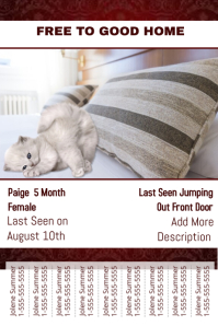 Customizable Design Templates for Cat Adoption | PosterMyWall
