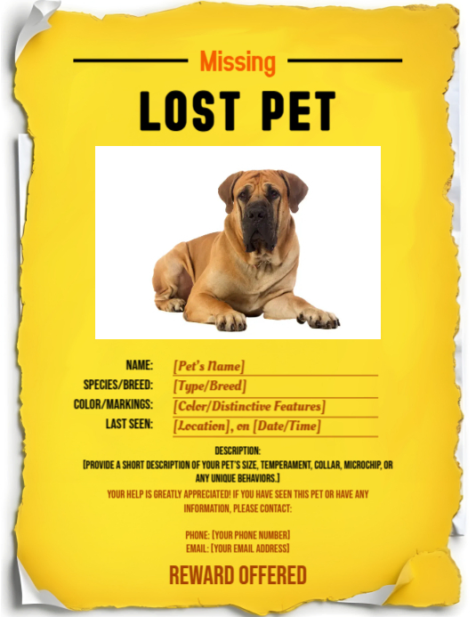 Lost Missing Pet Dog Cat Poster Flyer Template | PosterMyWall