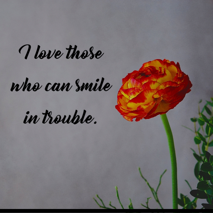 love quote Template | PosterMyWall