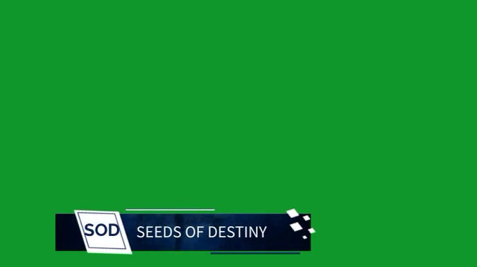Copy of LOWERTHIRD SEEDS OF DESTINY | PosterMyWall