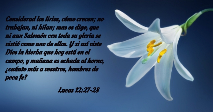Lucas 12:27-28 Templat | PosterMyWall