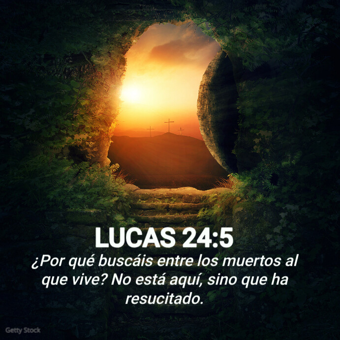Copy of Lucas 24:5 | PosterMyWall