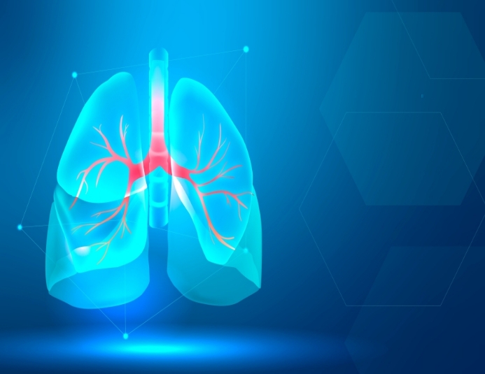 Lung banner respiratory system healthcare Template | PosterMyWall