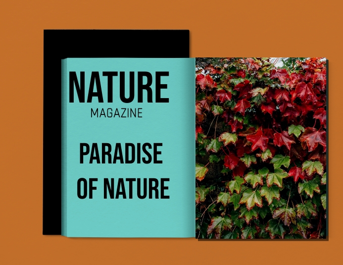 Magazine cover flyer Template | PosterMyWall