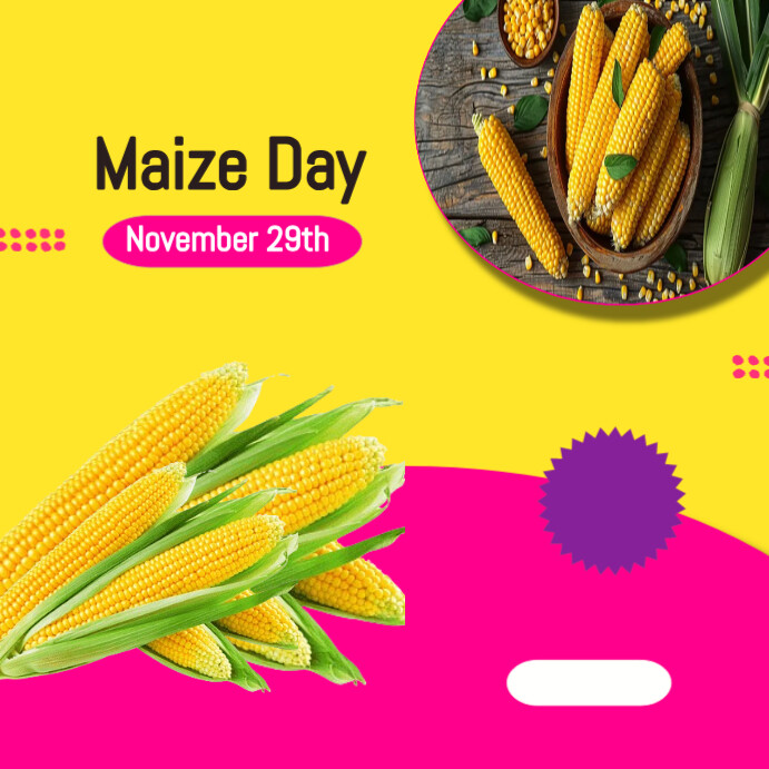 Copy of maize day | PosterMyWall