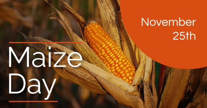 Maize Day Facebook Template | PosterMyWall
