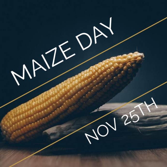Copy of Maize Day IG | PosterMyWall