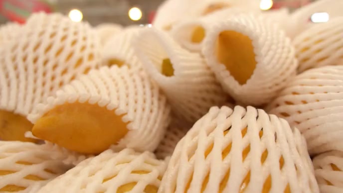 Mango fruit Template | PosterMyWall