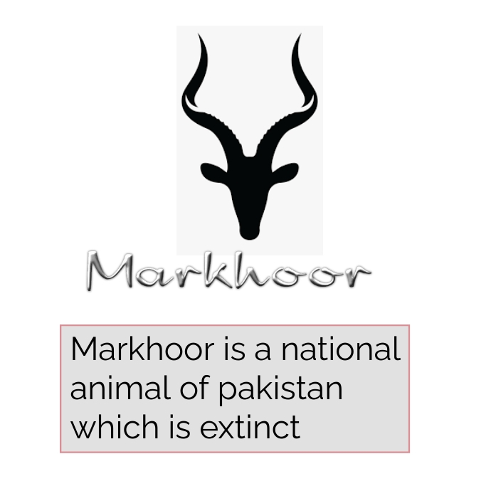 Copy of Markhoor | PosterMyWall