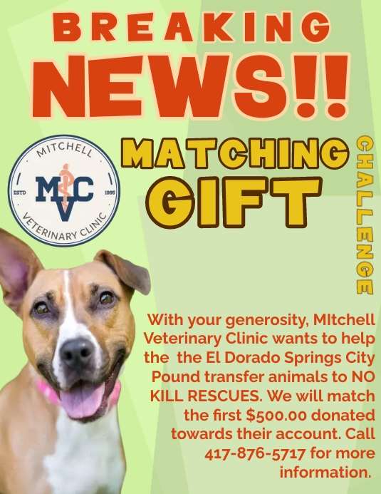 Matching Gift (2) Template | PosterMyWall