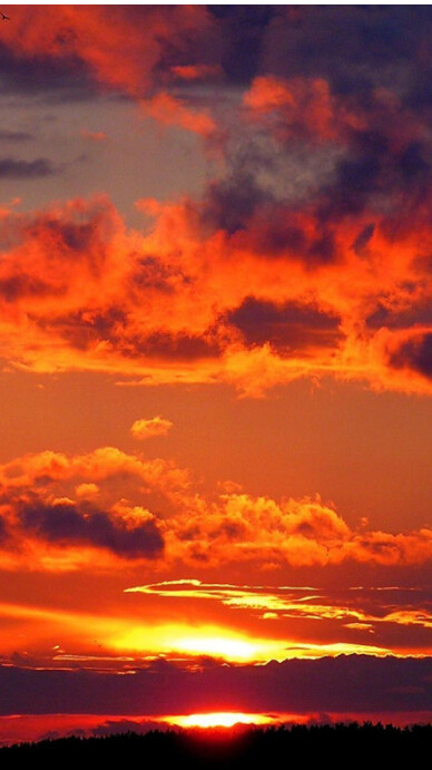 Maximalist "golden Sunset Sky Background" Digital Display (9:16 ...