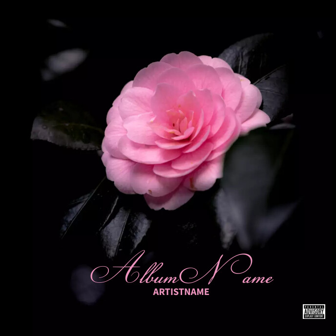 Maximalist Album Album Cover Templat | PosterMyWall