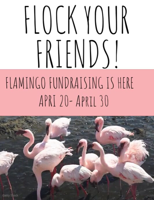 Copy of Maximalist Flock-a-friend Flyer (us Letter) | PosterMyWall