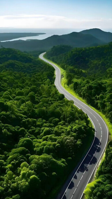 Maximalist Green Nature Digital Display (9:16) Template | PosterMyWall