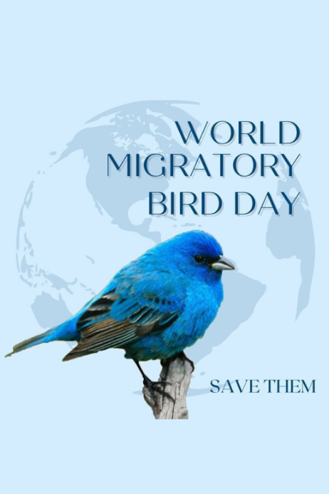 Maximalist World Migratory Bird Day Poster Template | PosterMyWall