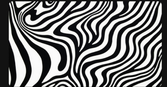 Plantilla de Maximalist Zebra Abstract Background Facebook Shared Image ...
