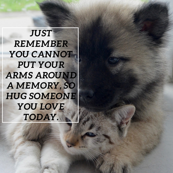 Copy of MEMORY AND HUG QUOTE TEMPLATE | PosterMyWall