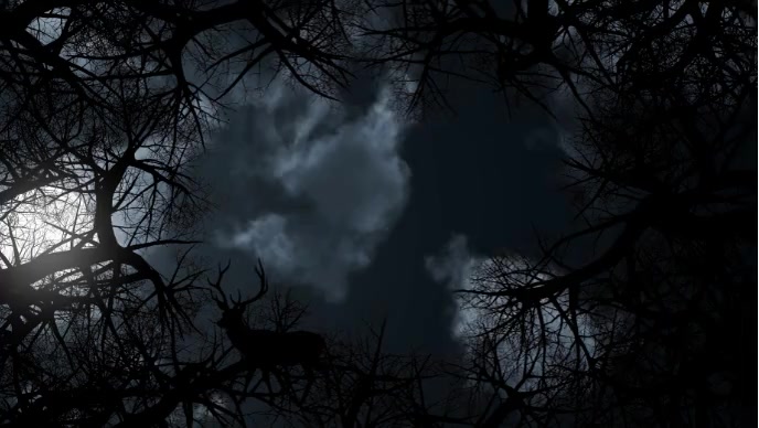 Copy of MIDNIGHT | PosterMyWall