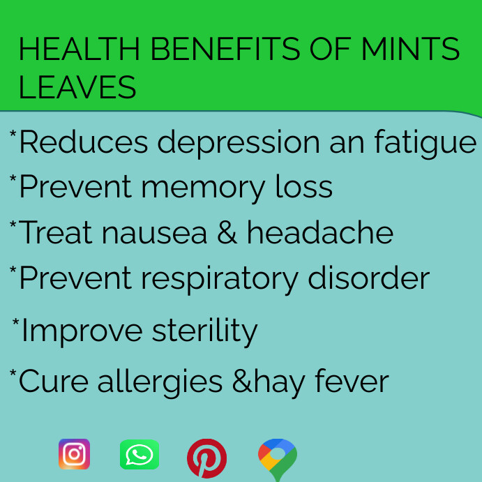 Plantilla de Mints leaves | PosterMyWall