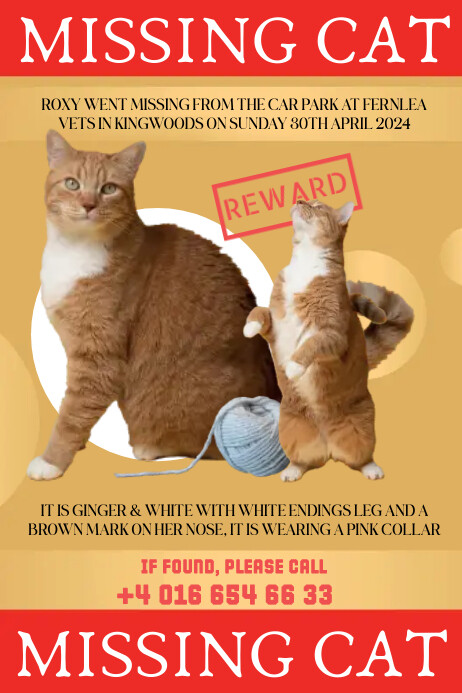 Copy of Missing Cat | PosterMyWall
