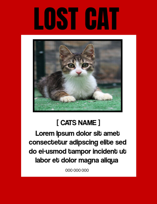 Copy of Missing CAT | PosterMyWall