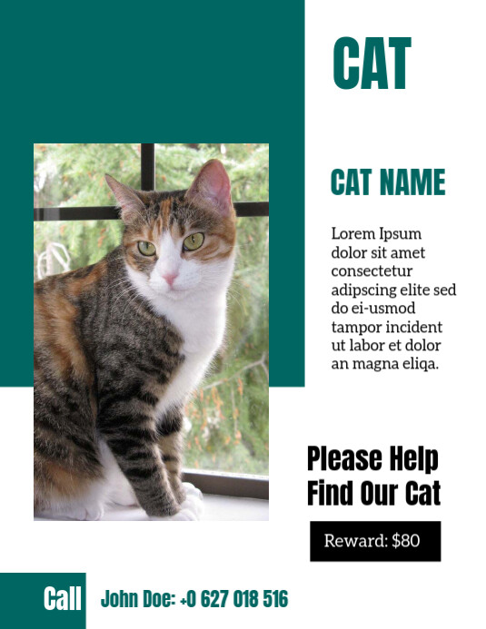 Plantilla de Missing cat | PosterMyWall