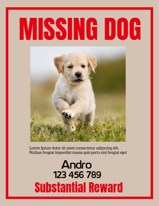 Copy of Missing cat | PosterMyWall
