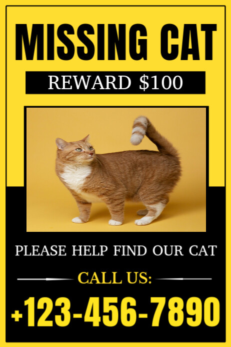 Missing cat editable Poster template in black and yellow style ...