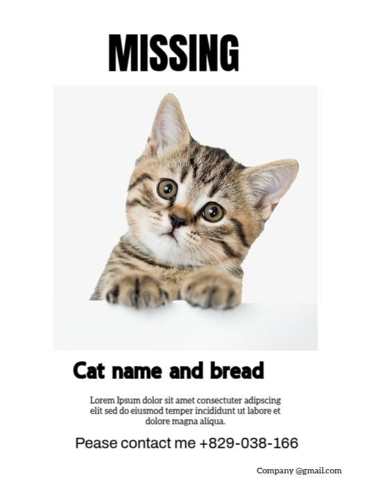 Copy of Missing cat report flyer template | PosterMyWall