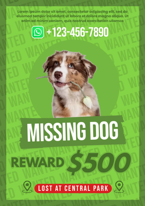 Missing Dog Design Template | PosterMyWall